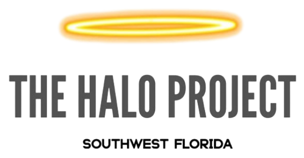 The Halo Project